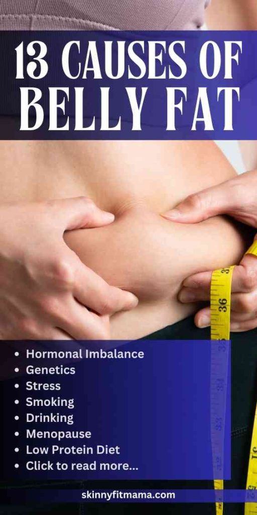 Top 13 Causes Of Belly Fat + Side Effects - Skinny Fit Mama