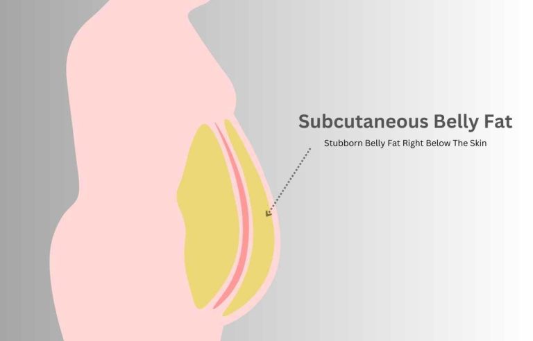 6 Types Of Belly Fat: Shapes & What They mean - Skinny Fit Mama