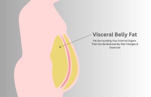 6 Types Of Belly Fat: Shapes & What They mean - Skinny Fit Mama