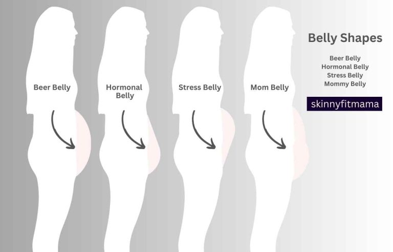 6 Types Of Belly Fat: Shapes & What They mean - Skinny Fit Mama